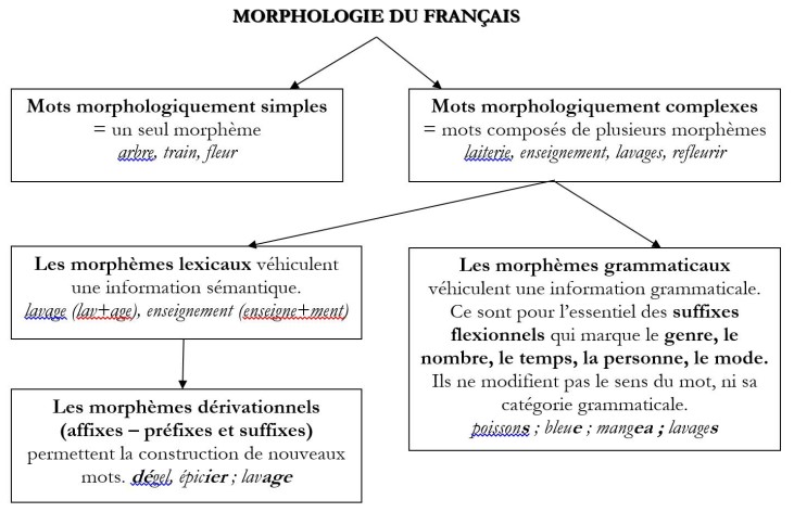 Sélection de ressources EDUSCOL – Maîtrise de la langue